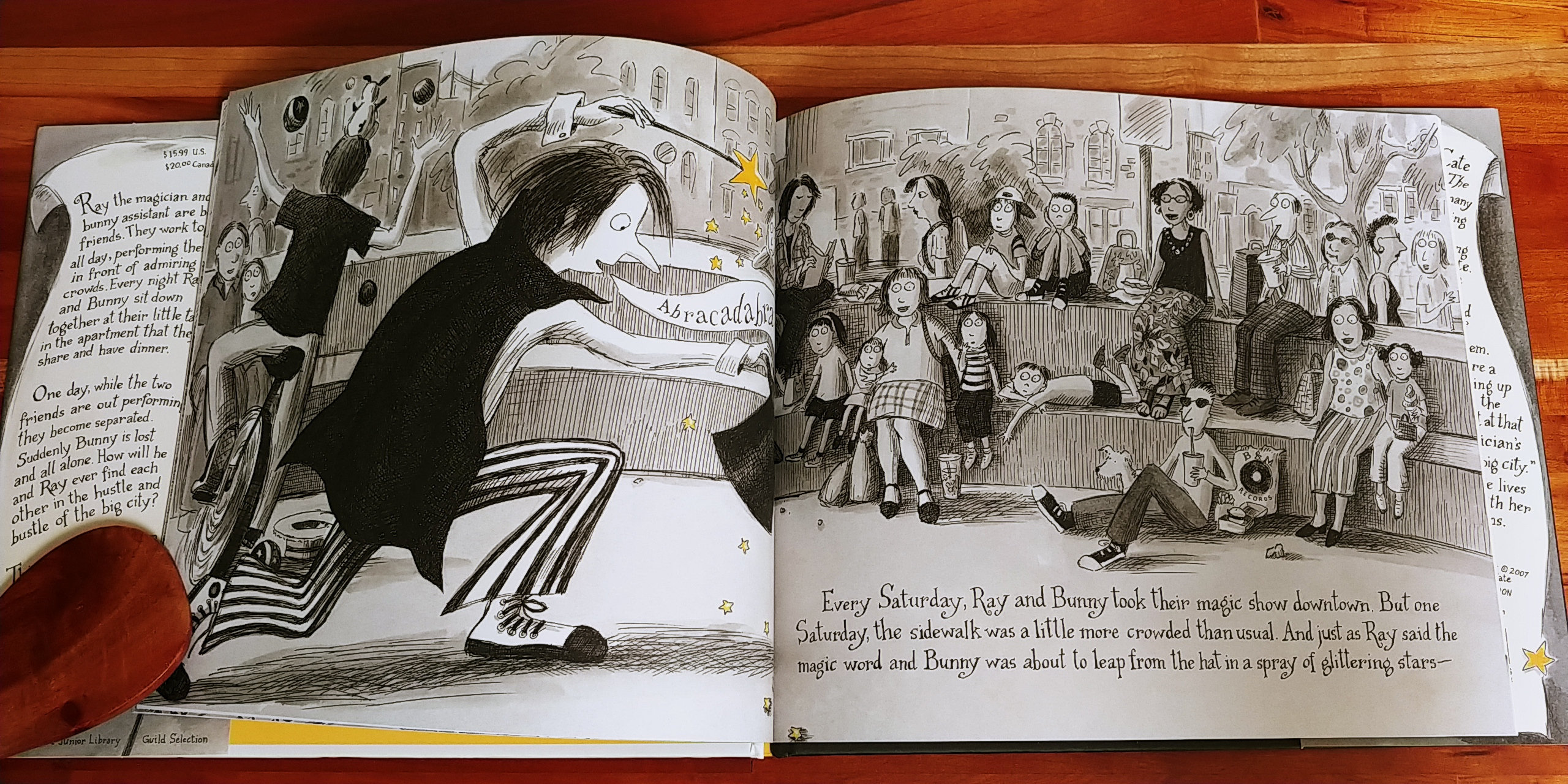 The Magic Rabbit by Annette LeBlanc Cate - First Edition Children's Books