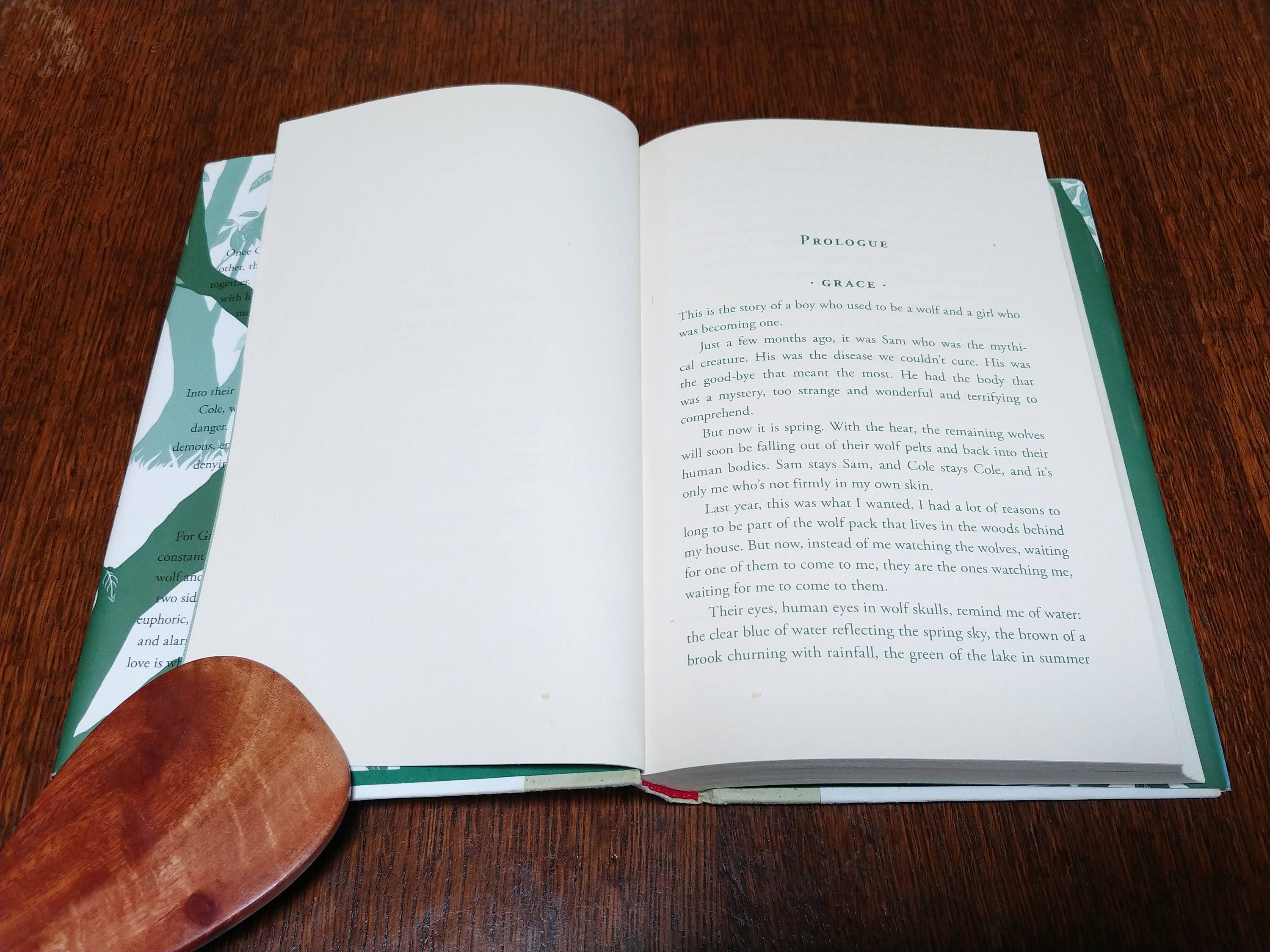 Linger by Maggie Stiefvater - Wolves of Mercy Falls - First Edition ...