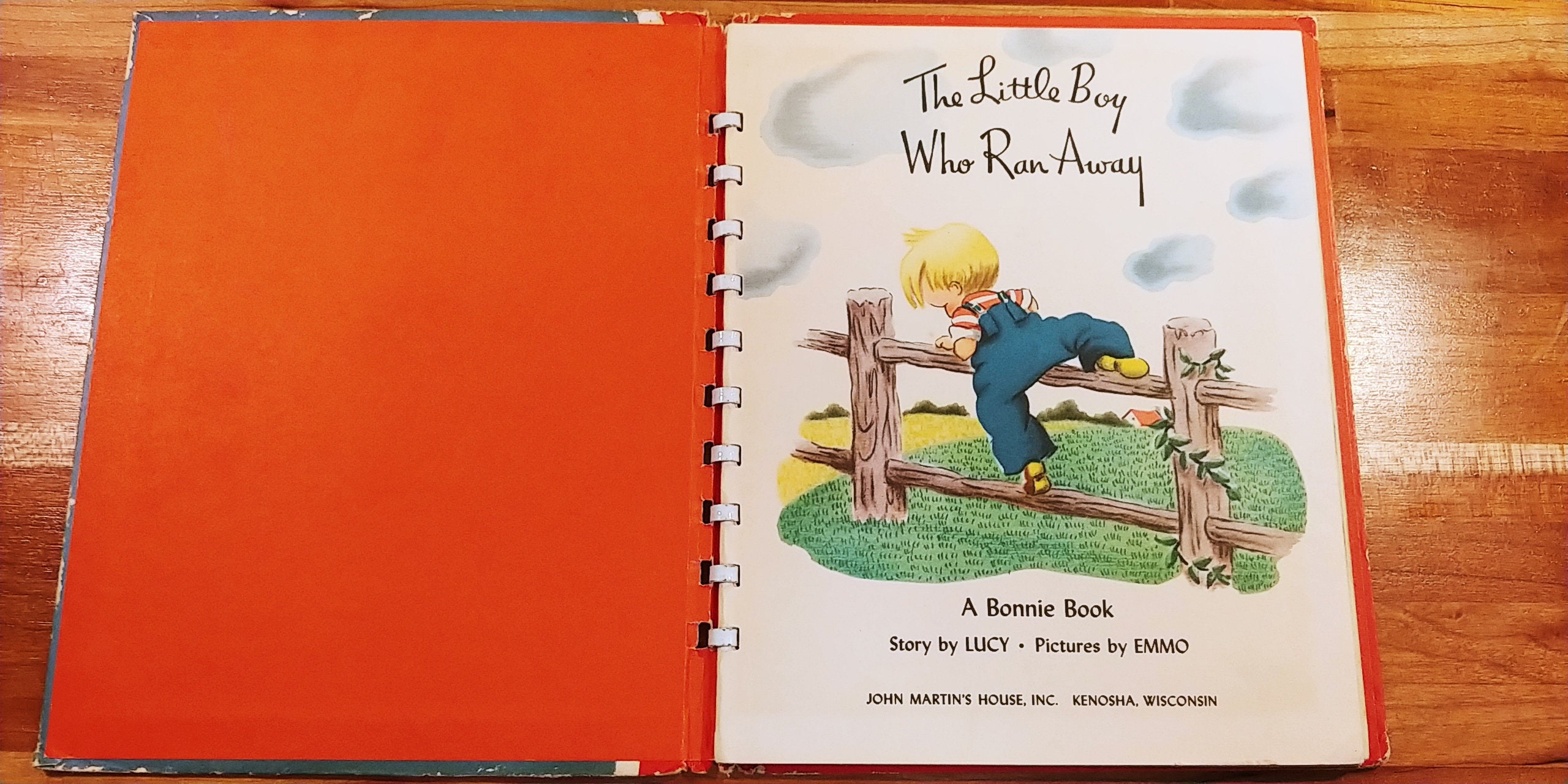 The Little Boy Who Ran Away by LUCY and EMMO - First Edition Children's ...