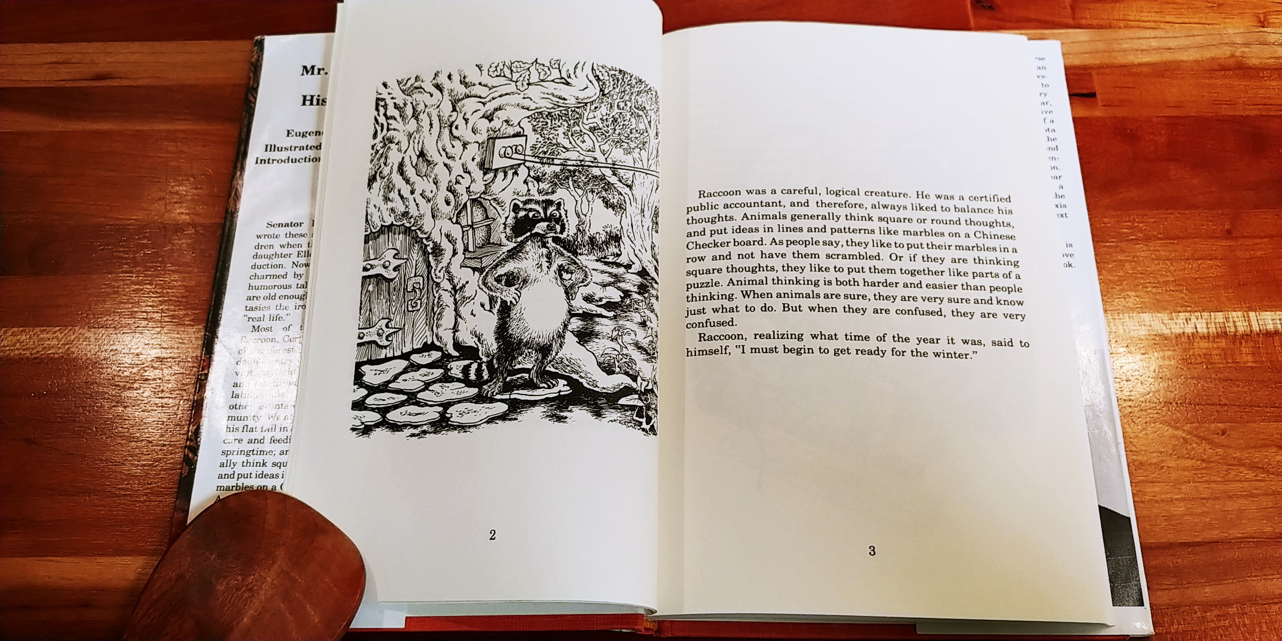 Mr. Raccoon and His Friends by Eugene J McCarthy - First Edition ...