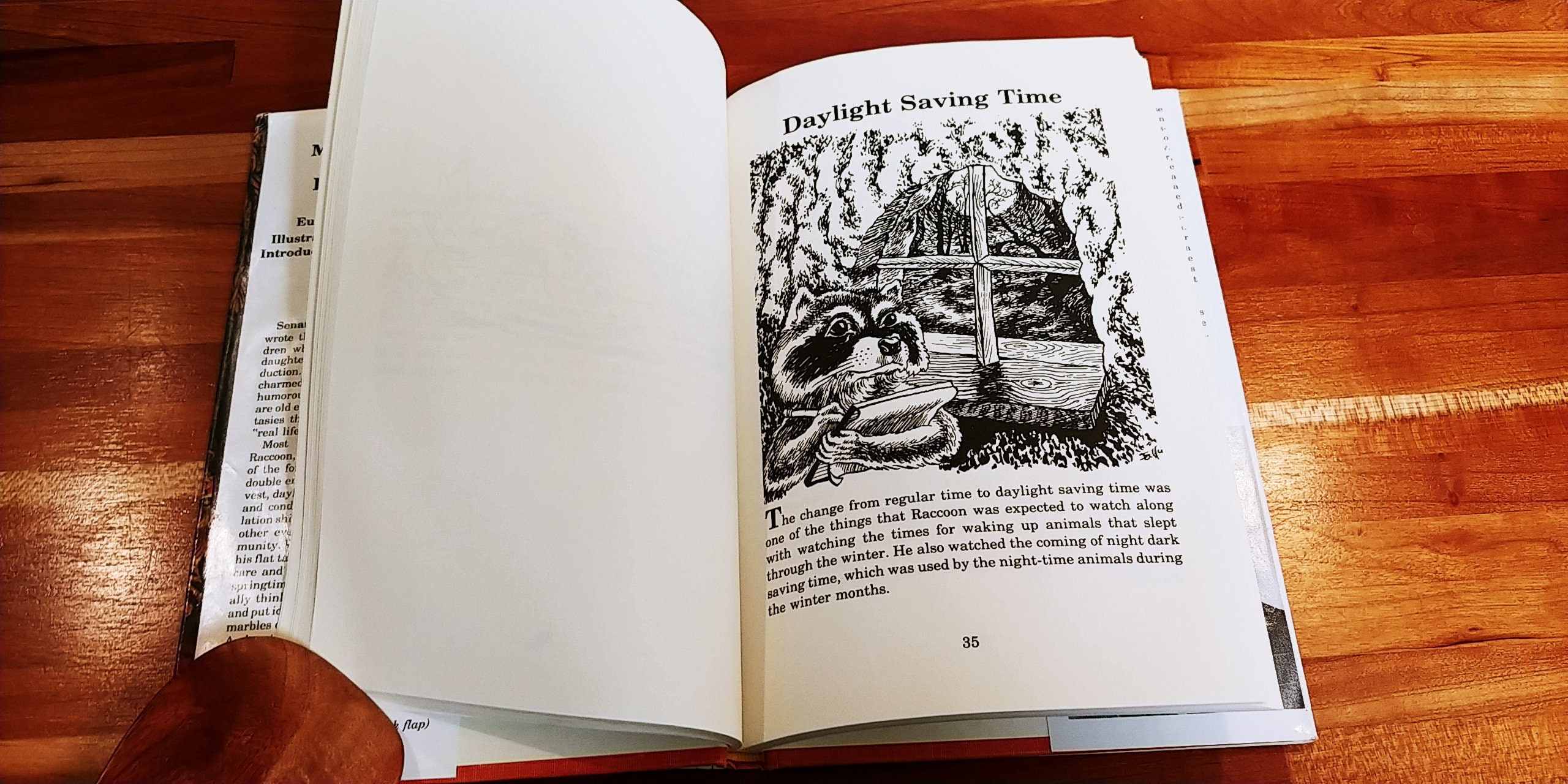 Mr. Raccoon and His Friends by Eugene J McCarthy - First Edition ...