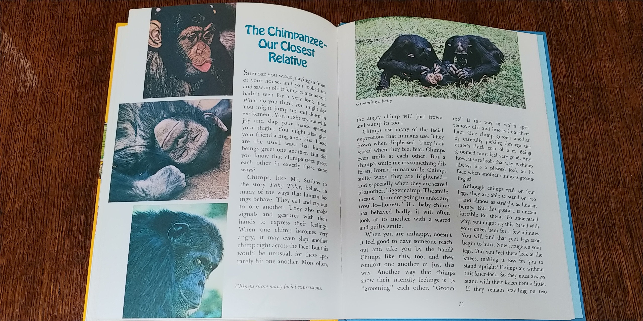 Disney's The Circus Book, featuring Toby Tyler, 1978 first edition.