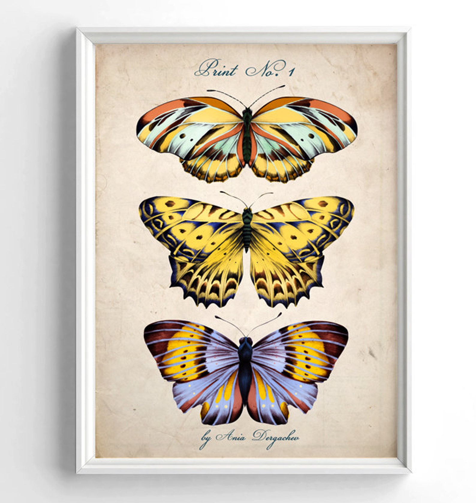 Butterfly Downloadable Wall Art Butterfly Printable Poster | Etsy