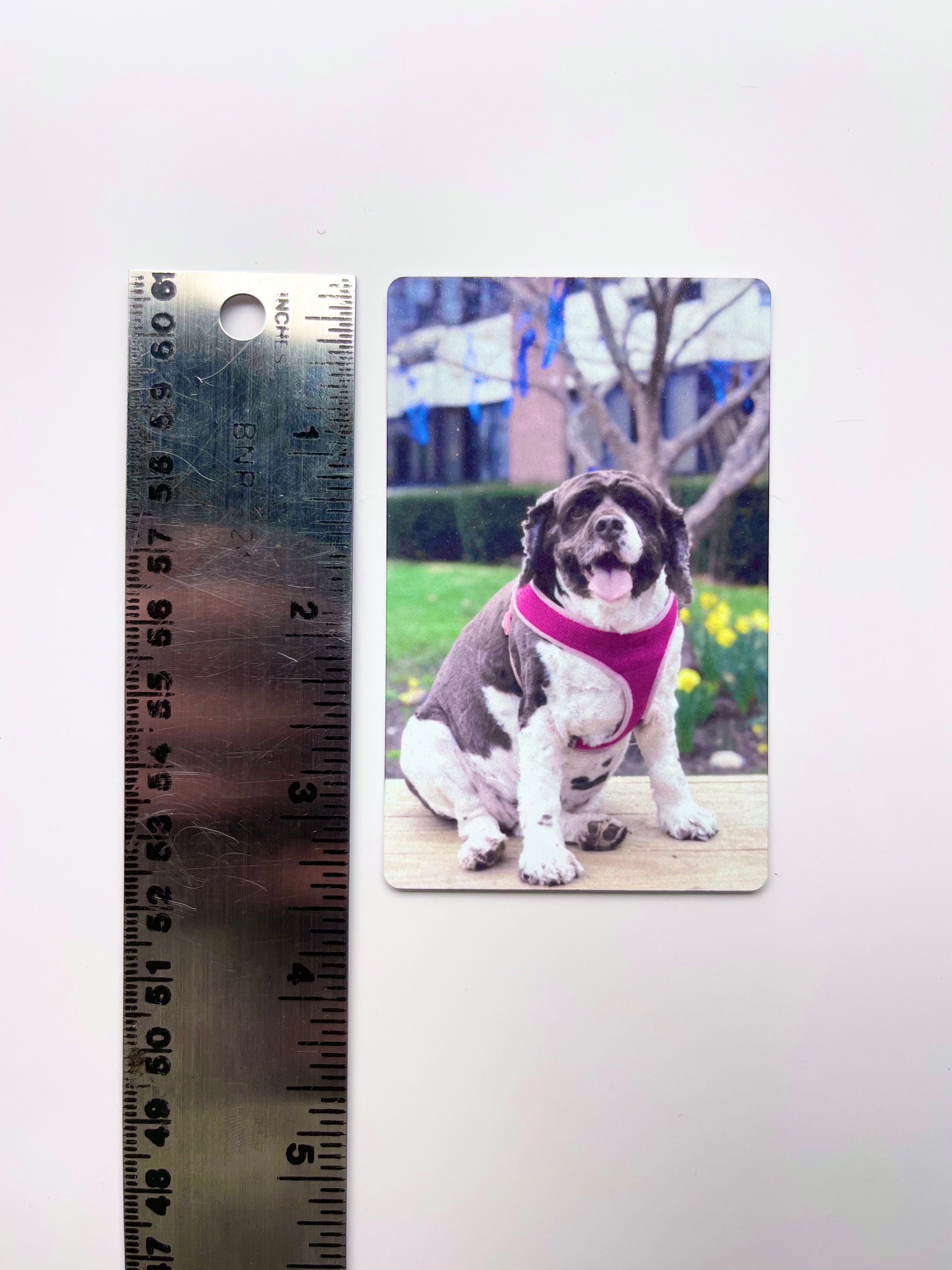 Pet Prayer Card, Pet Memorabilia, Personalized Card, Prayer Card ...