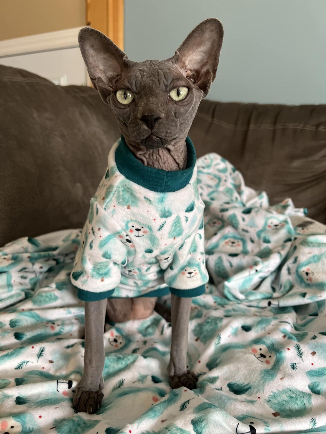 Squishy Pajamas for Sphynx Cutie Yeti - Etsy Canada