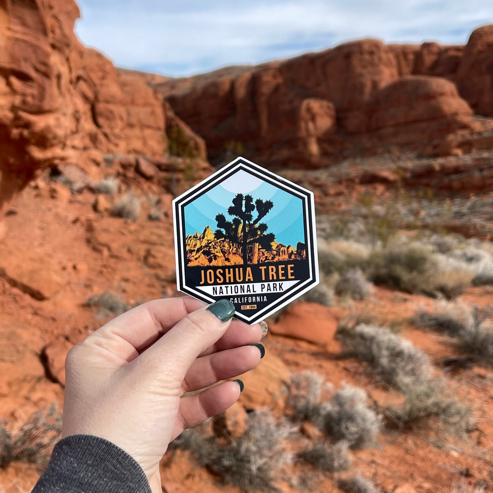 Joshua Tree National Park Sticker Vinyl Sticker UV - Etsy