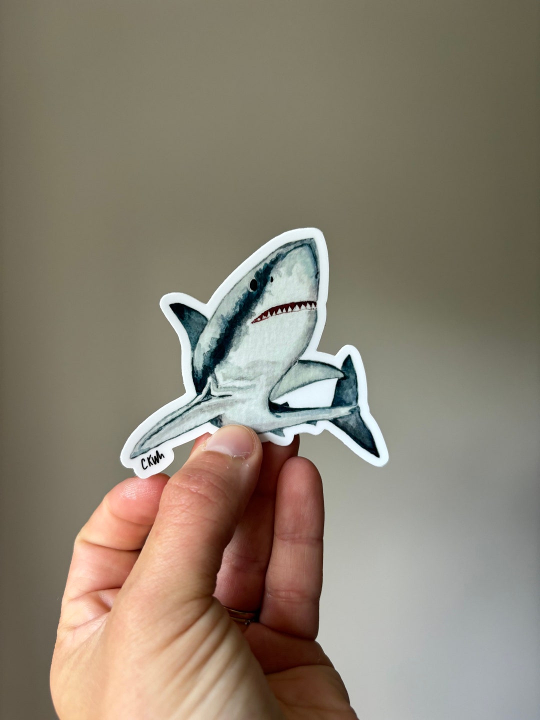 Watercolor Shark Sticker - Etsy