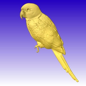 Parrot Vector Relief Model for Cnc Router Projects or Sign Carving ...