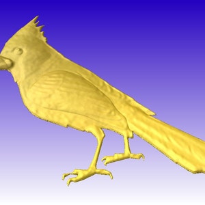 Cardinal Bird 3D Vector Model for Cnc Projects or Sign Relief Carving ...