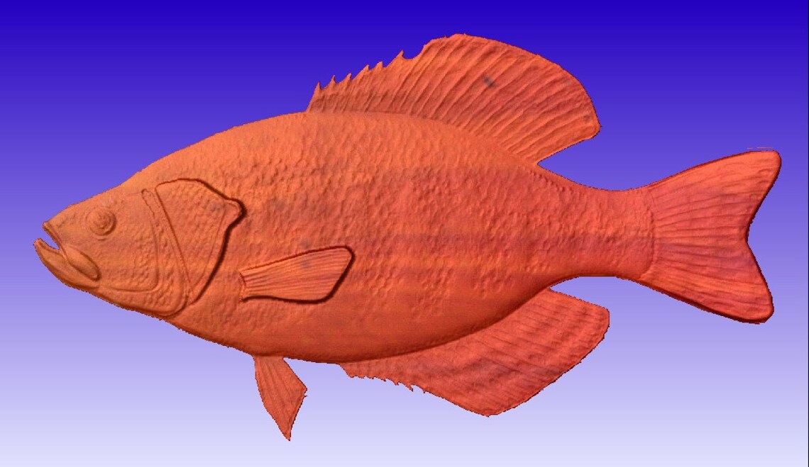 Fish 3d Vector Art for Cnc Projects and Carving Patterns in Stl File ...