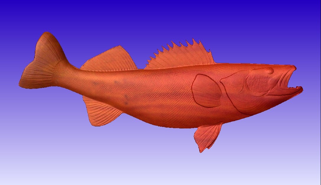 Walleye 3D Vector Art Model for Cnc Projects or Carving Patterns in Stl ...