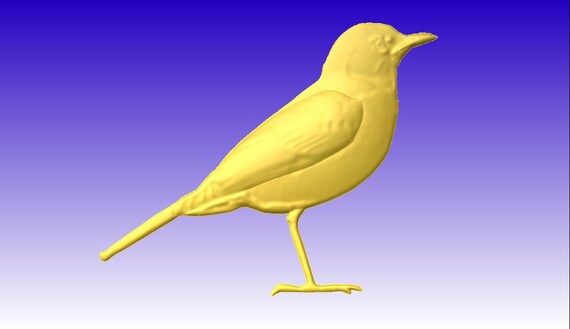 Robin Bird 3D Vector Model for Cnc Projects and Sign Carving | Etsy UK