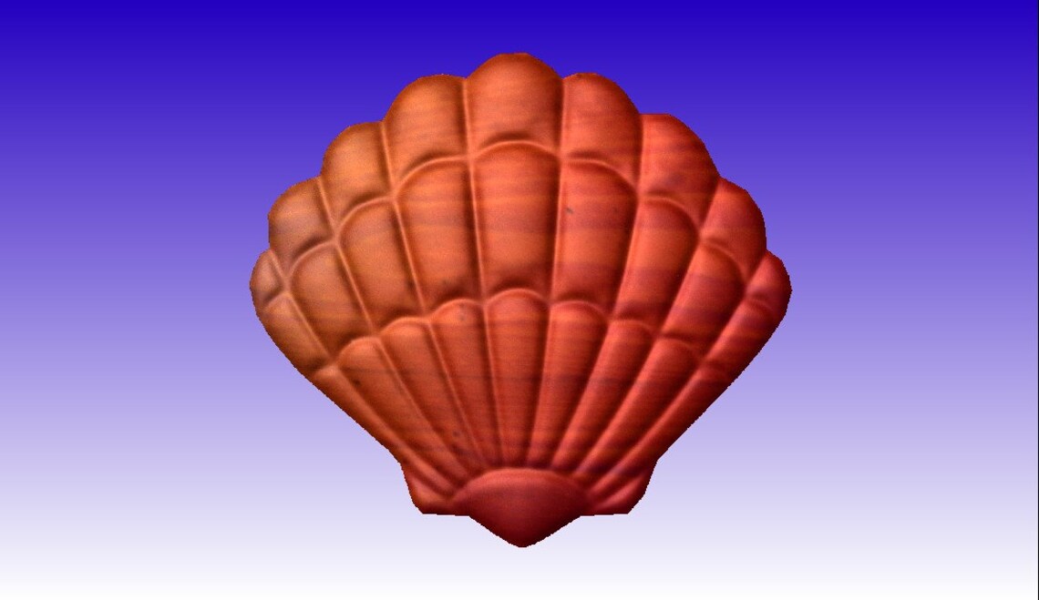 Shell Vector Art Relief Model for Cnc Router Projects or Sign 3D ...