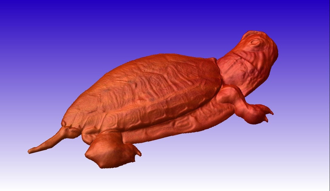 Turtle 3D Vector Relief Model for Cnc Router Projects and Sign Carving ...