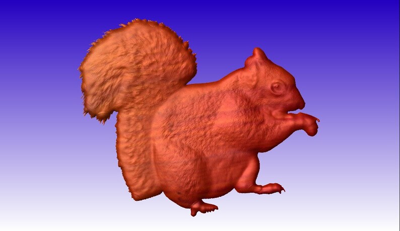 Squirrel Vector Relief Model in Stl File Format for Cnc Machining - Etsy