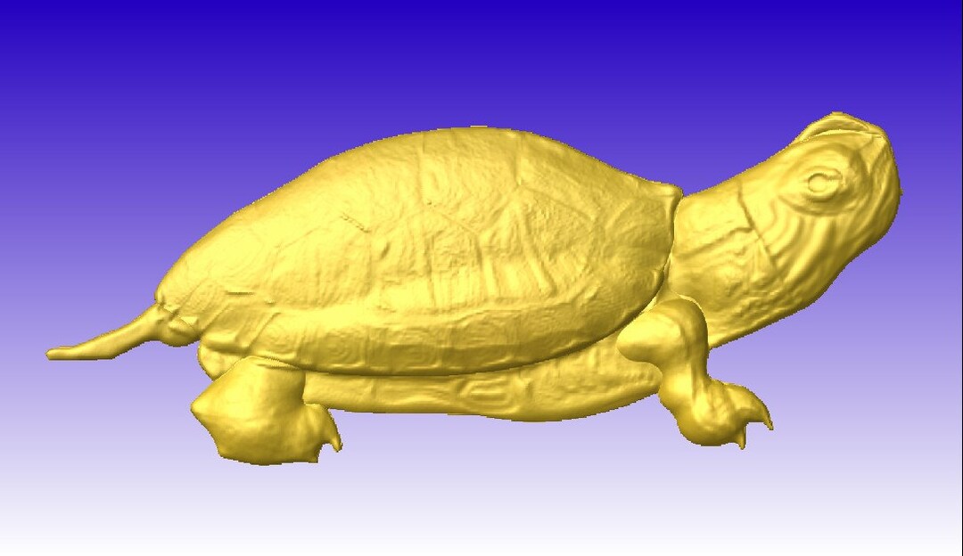 Turtle 3D Vector Relief Model for Cnc Router Projects and Sign Carving ...
