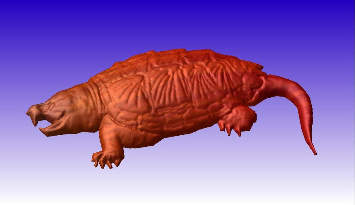 Snapping Turtle Vector Relief Model for Cnc Router Projects and Sign ...