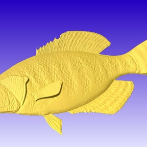 Fish 3d Vector Art for Cnc Projects and Carving Patterns in Stl File ...