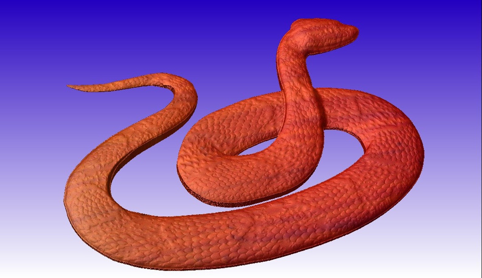 Snake 3d Vector Model for Cnc Projects and Sign Carving in Relief in ...