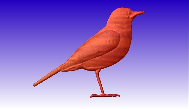 Robin Bird 3D Vector Model for Cnc Projects and Sign Carving Patterns ...