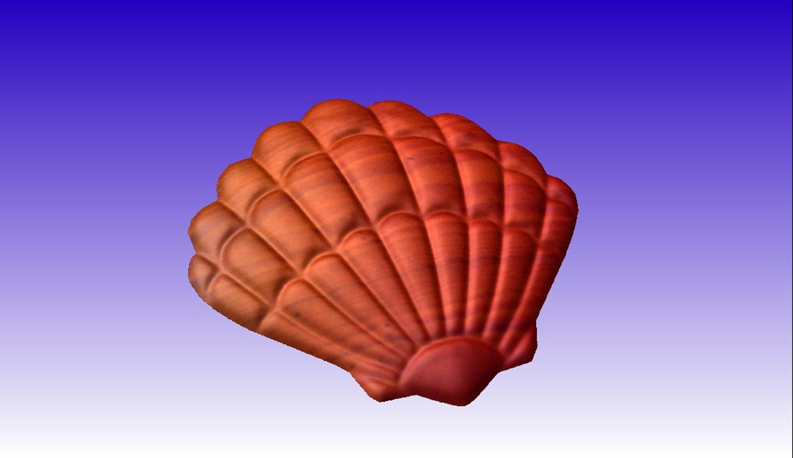 Shell Vector Art Relief Model for Cnc Router Projects or Sign - Etsy