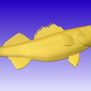 Walleye 3D Vector Art Model for Cnc Projects or Carving Patterns in Stl ...