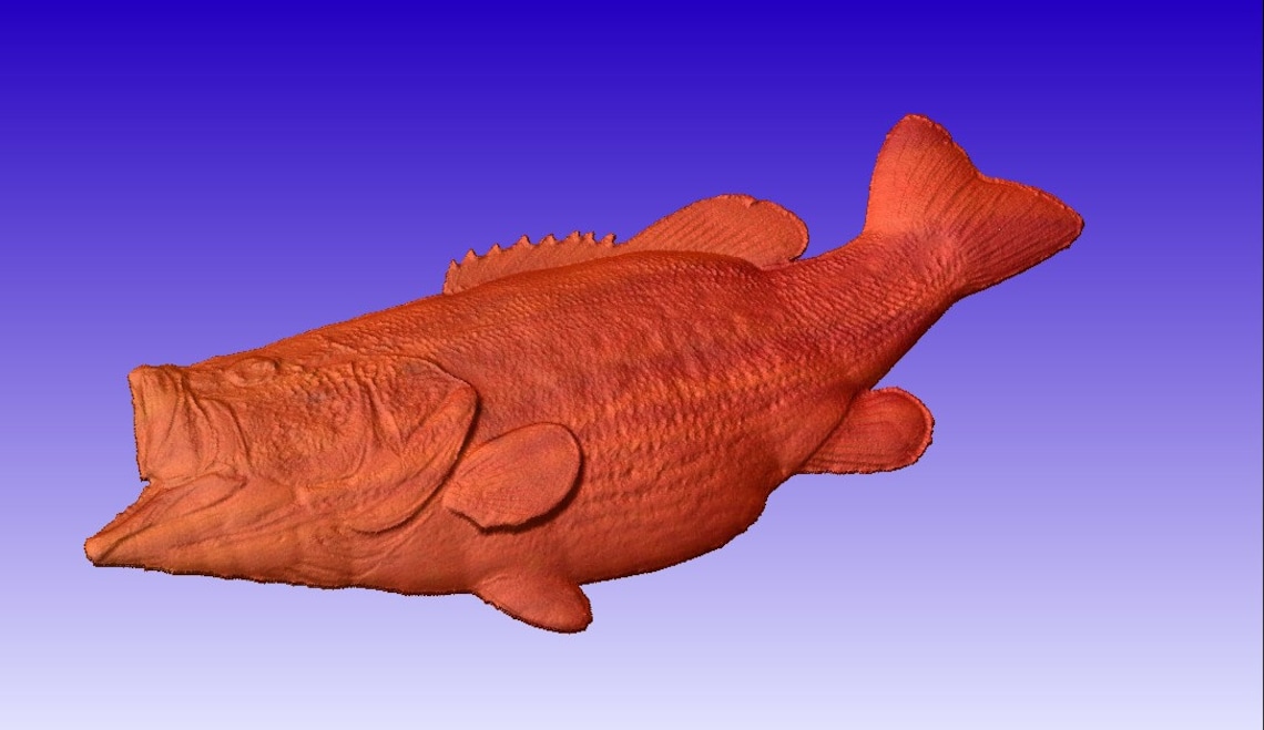 Bass Fish 3d Vector Art for Cnc Projects or Carving Pattern in Stl File ...