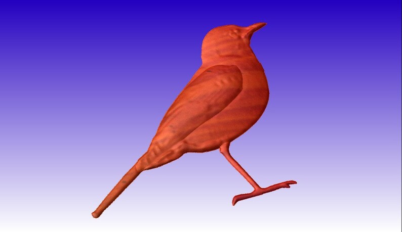 Robin Bird 3D Vector Model for Cnc Projects and Sign Carving Patterns ...