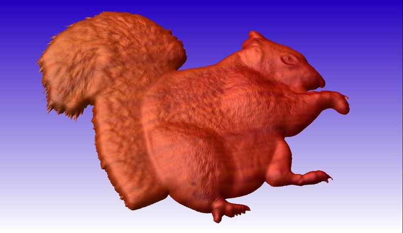 Squirrel Vector Relief Model in Stl File Format for Cnc Machining - Etsy