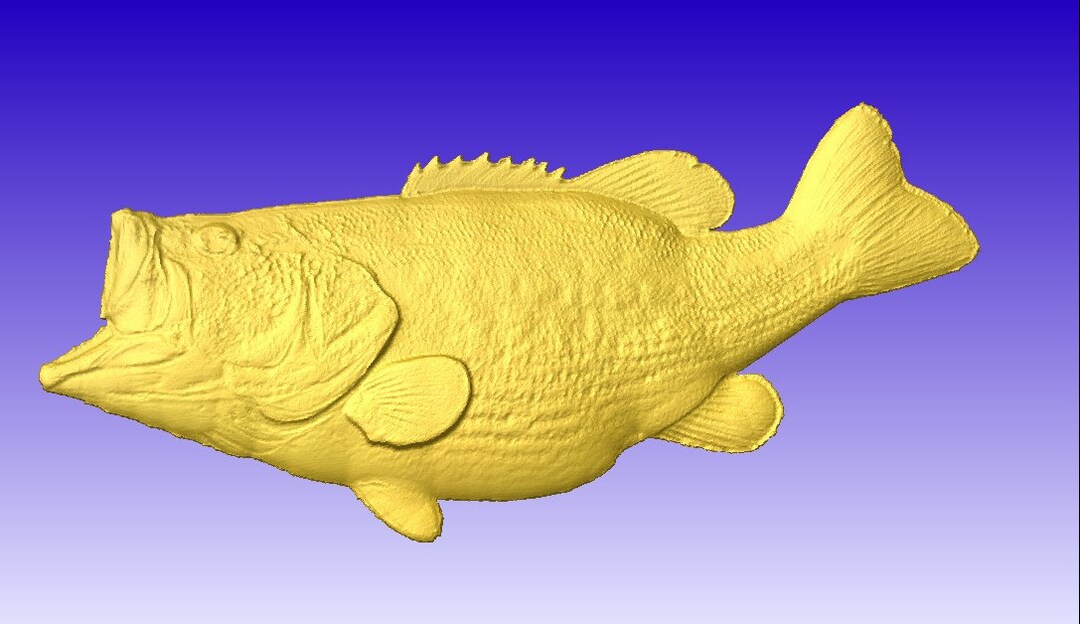Bass Fish 3d Vector Art for Cnc Projects or Carving Pattern in Stl File ...