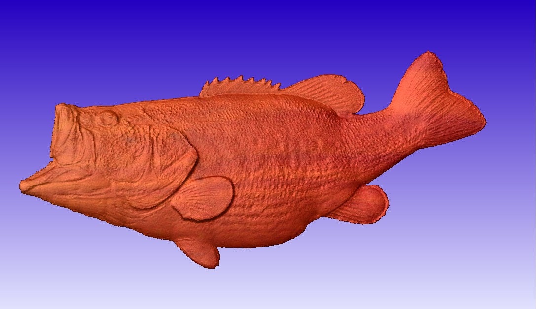 Bass Fish 3d Vector Art for Cnc Projects or Carving Pattern in Stl File ...