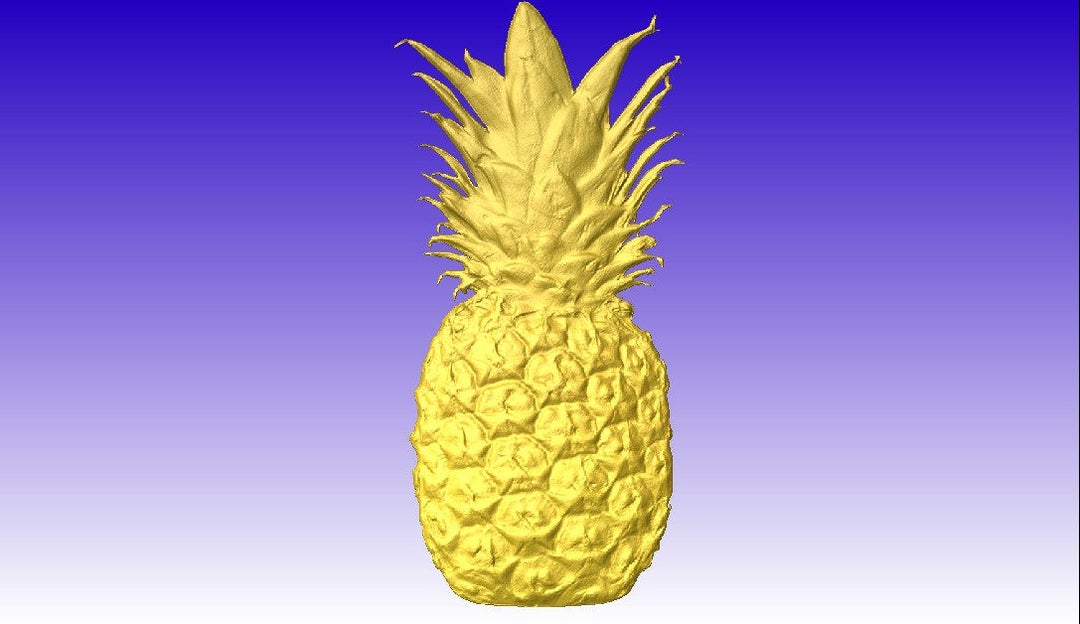 Pineapple Vector Relief Model for Cnc Routers or Sign Carving Pattern ...