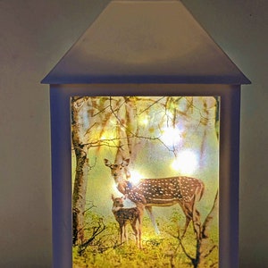 Nature Themed LED Lantern - Etsy
