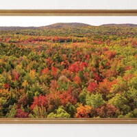 Aerial View of New England Fall Foliage Color - Etsy