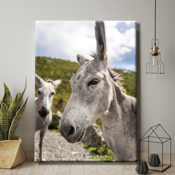 Two Donkeys Wall Art - Etsy