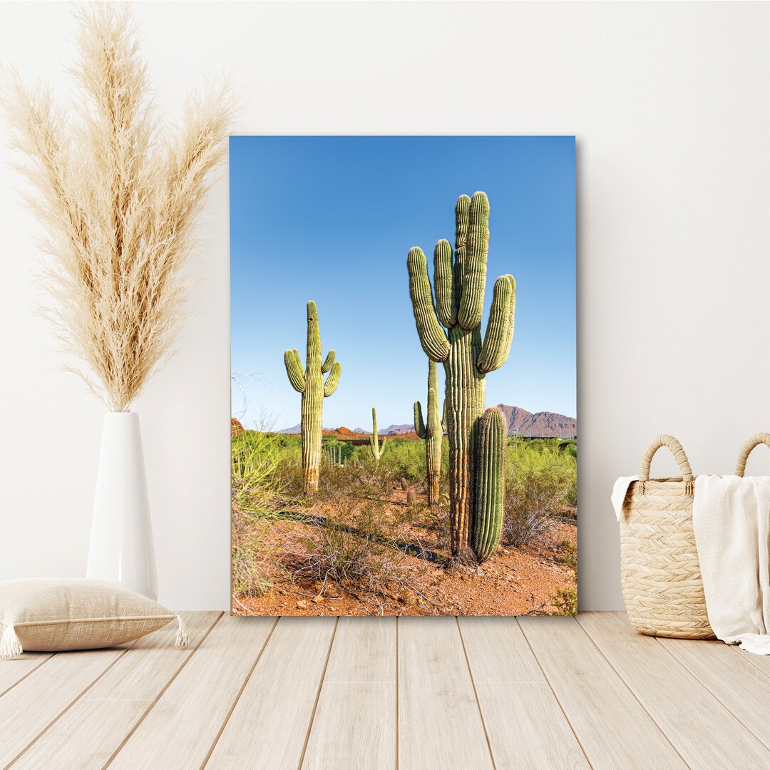 Cactus Wall Canvas or Acrylic Photo, Arizona Desert Fine Art | Desert ...