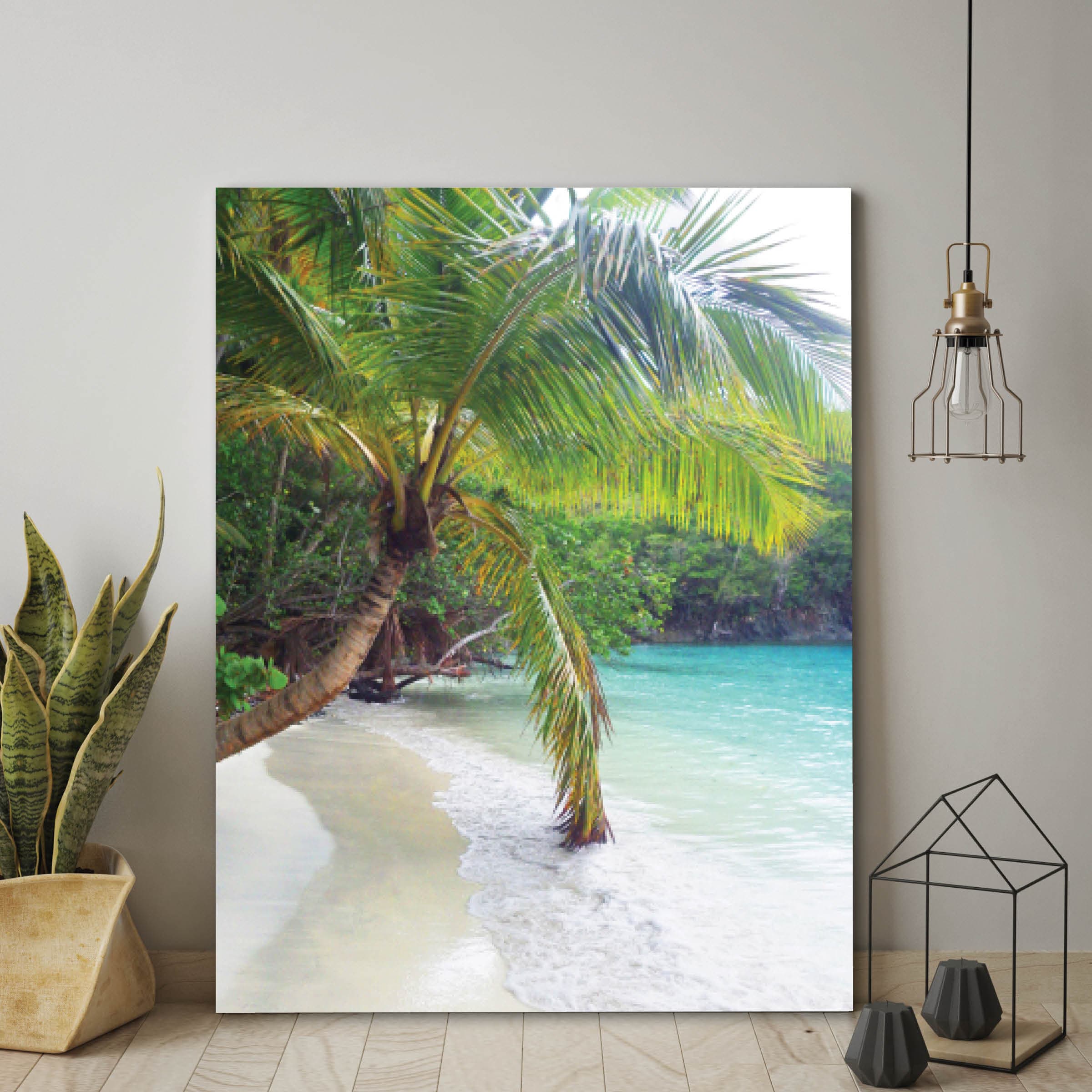 Palm Tree Beach Canvas or Acrylic Photo Beach Photography | Etsy