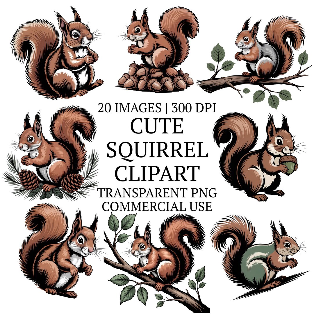 20 Cute Autumn Squirrel Clipart Bundle PNG, Wood Life Animal Clip Art ...