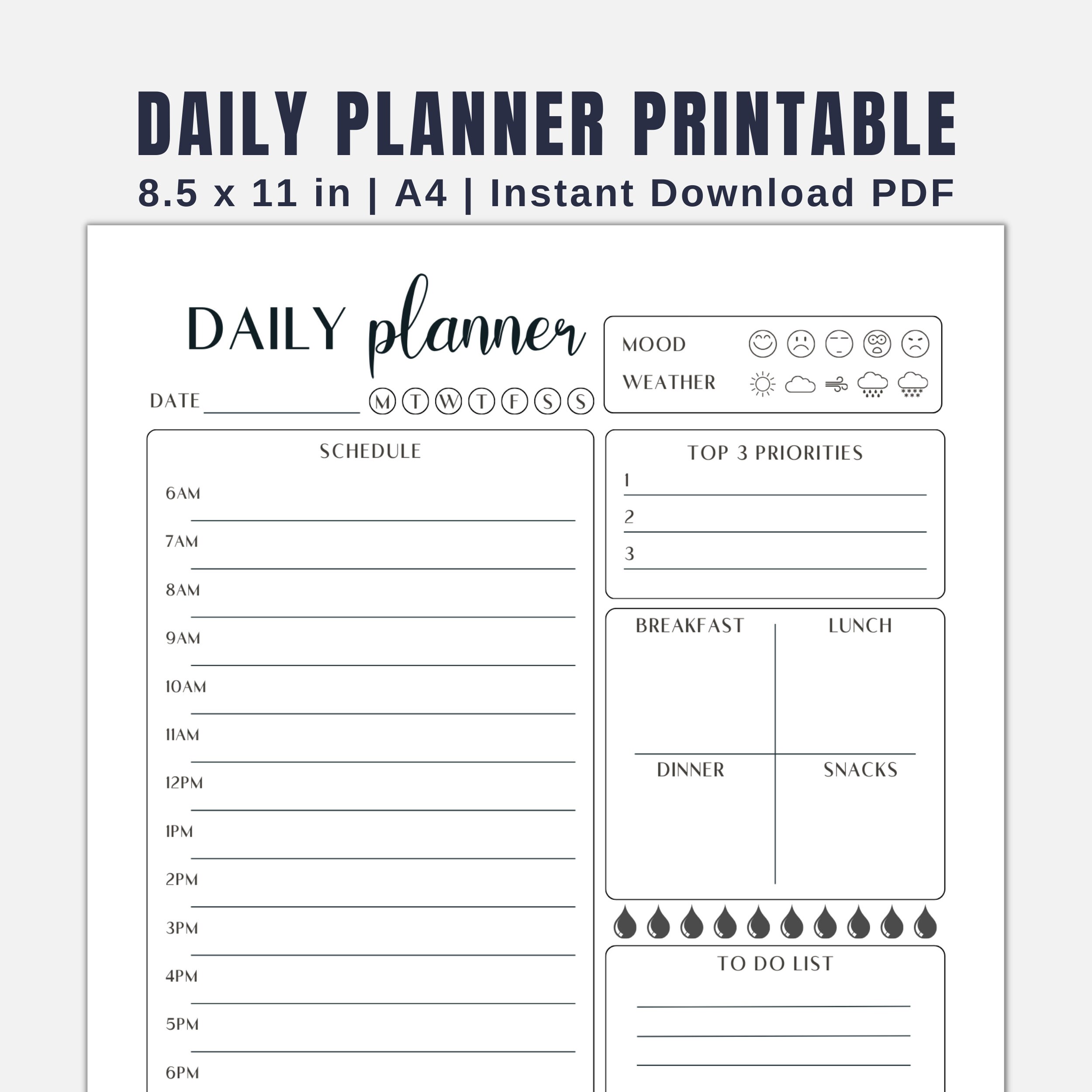 Daily Planner Printable, Daily Scheduletemplate, Productivity Planner ...