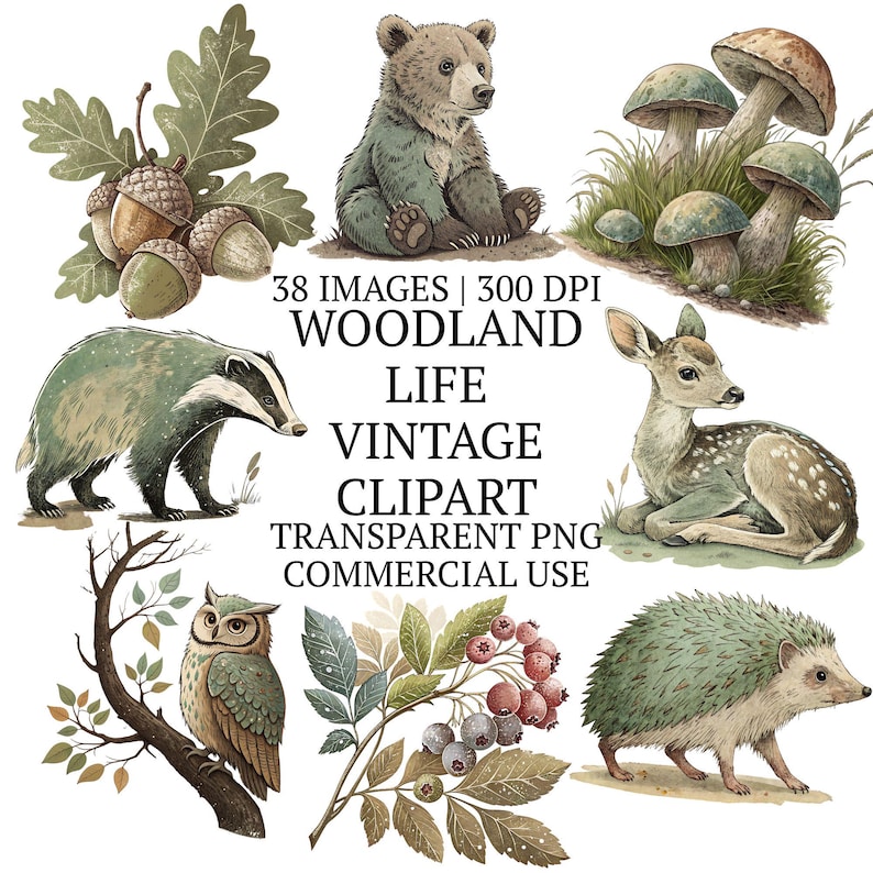 Woodland Life Vintage Clipart Bundle PNG, Forest Creatures Clip Art ...