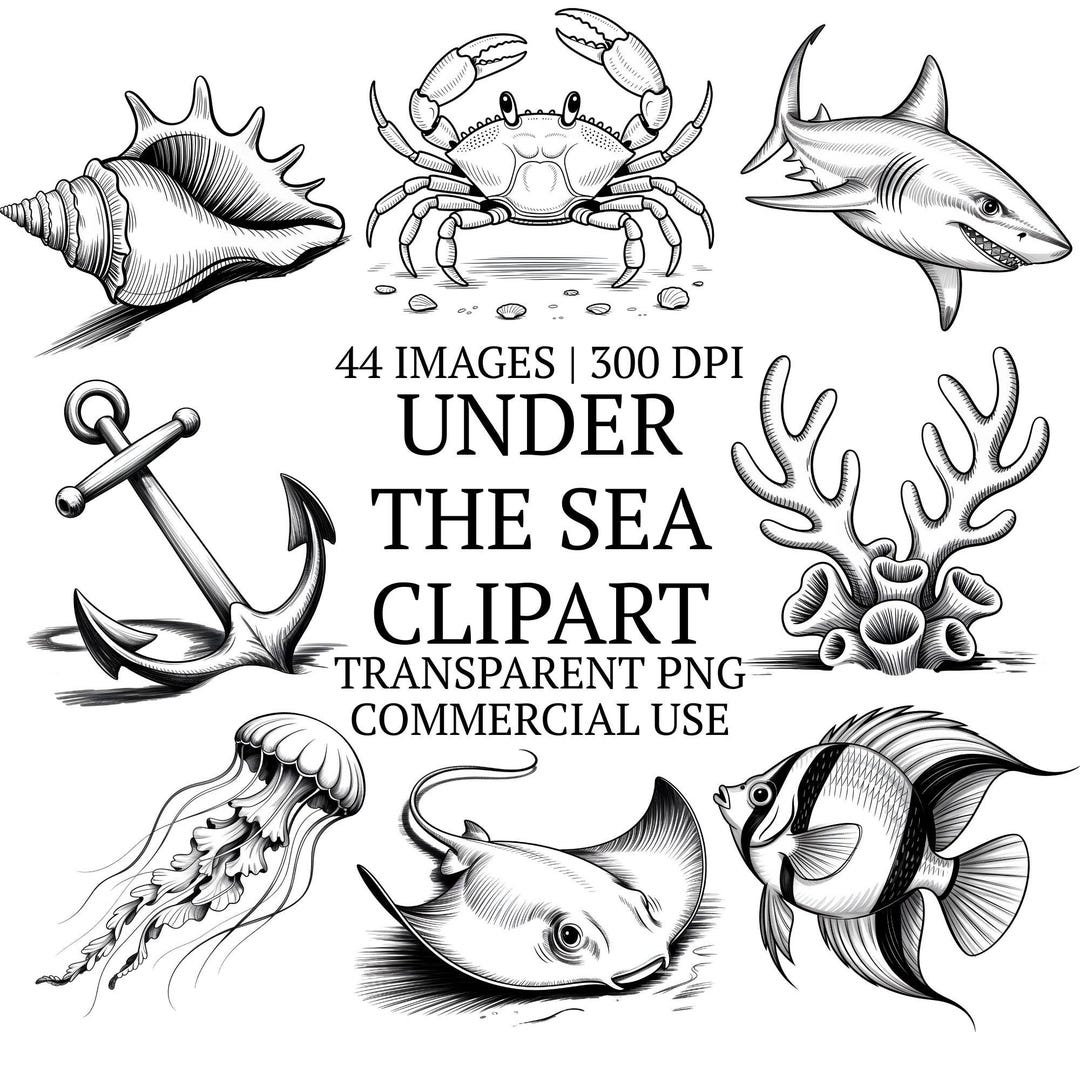 Cute Under the Sea Clipart Bundle PNG, Black and White Ocean Creatures ...