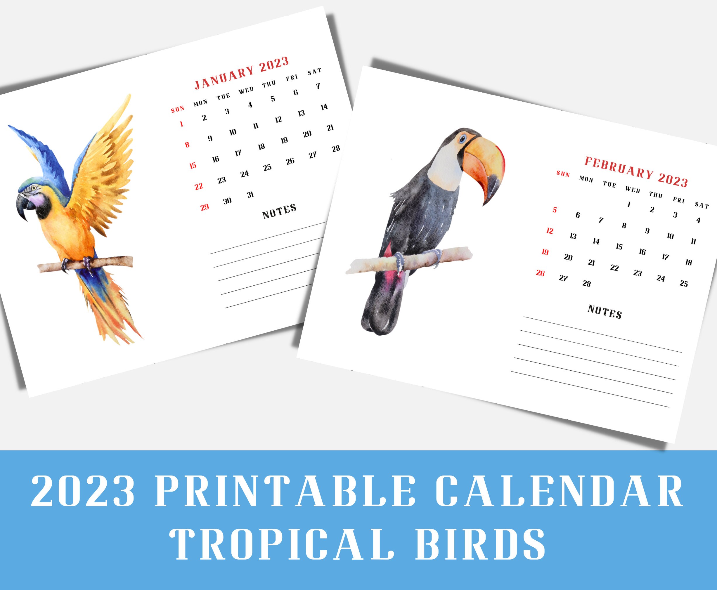2023 Printable Calendar Tropical Birds Deck Calendar Instant - Etsy