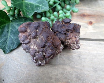 Petrified poop | Etsy