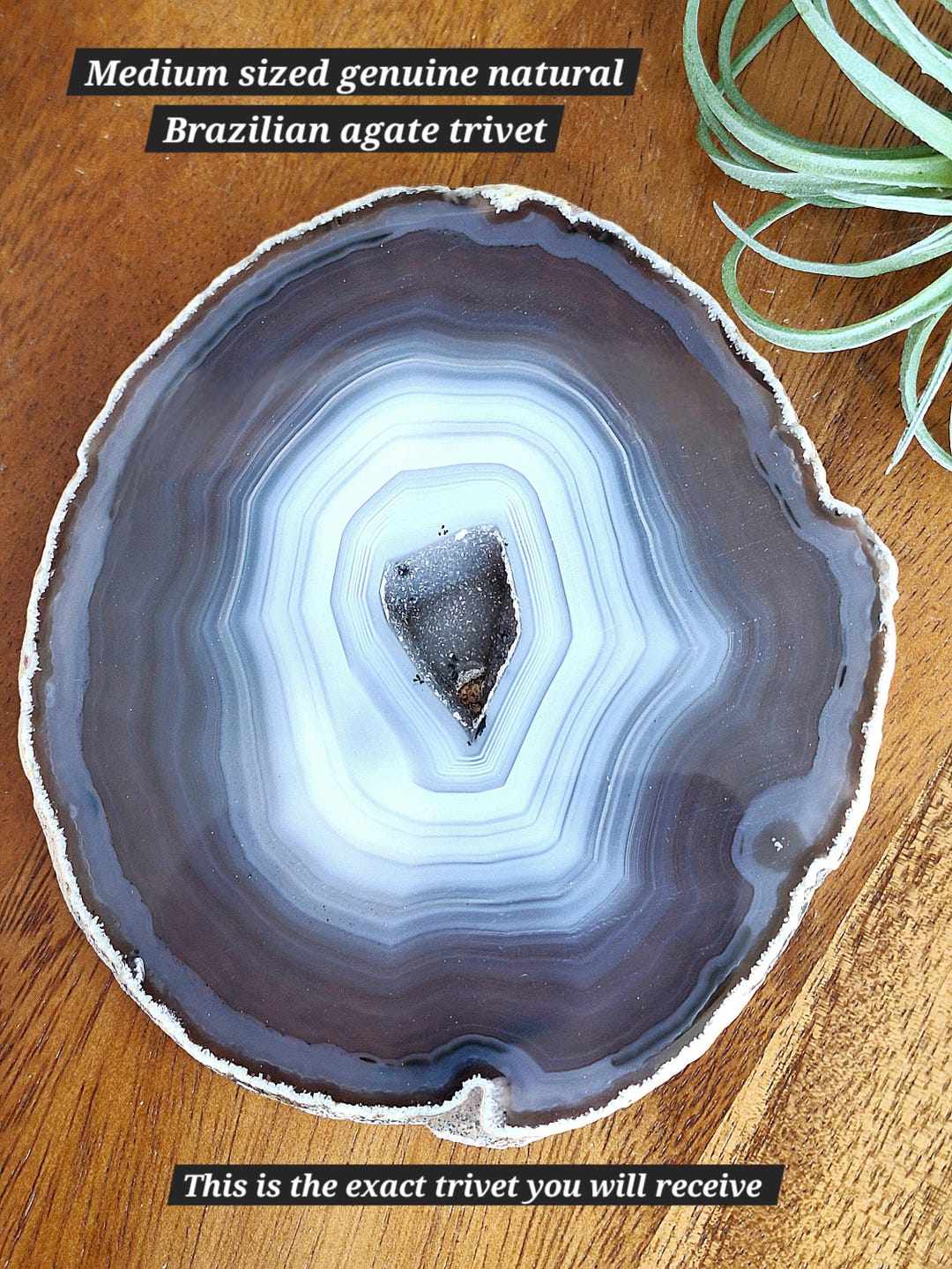 Agate Trivet With Cork Bottom, Stone Trivet, Rock Trivet, Mineral ...