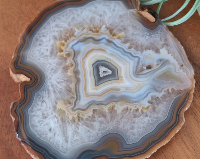 Agate Trivet With Cork Bottom, Stone Trivet, Rock Trivet, Mineral ...