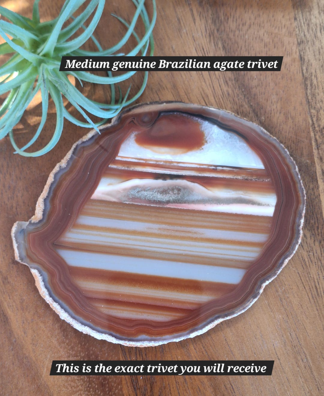 Agate Trivet With Cork Bottom, Stone Trivet, Rock Trivet, Mineral ...