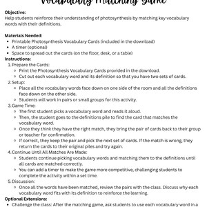 Photosynthesis for Kids - Lesson Plan, Worksheet & Vocabulary Cards ...