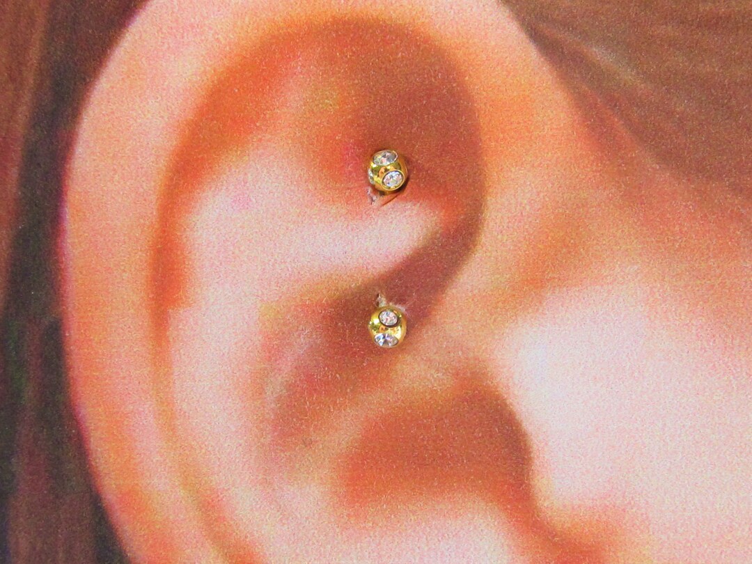 Golden Rook Piercing Multistone Surgical Steel Curved Barbell..16g..8mm ...