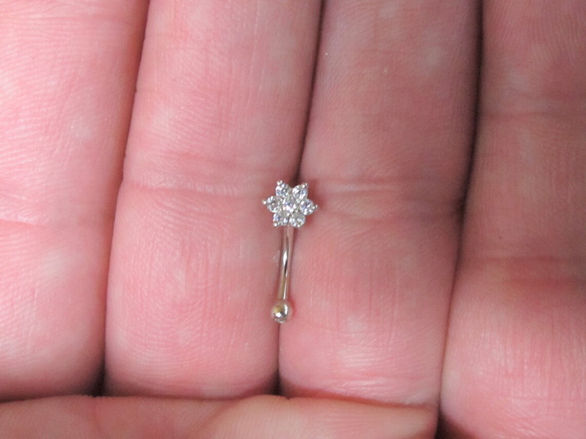 14k Solid White Gold Rook Piercingdaith Piercing Curved Prung - Etsy