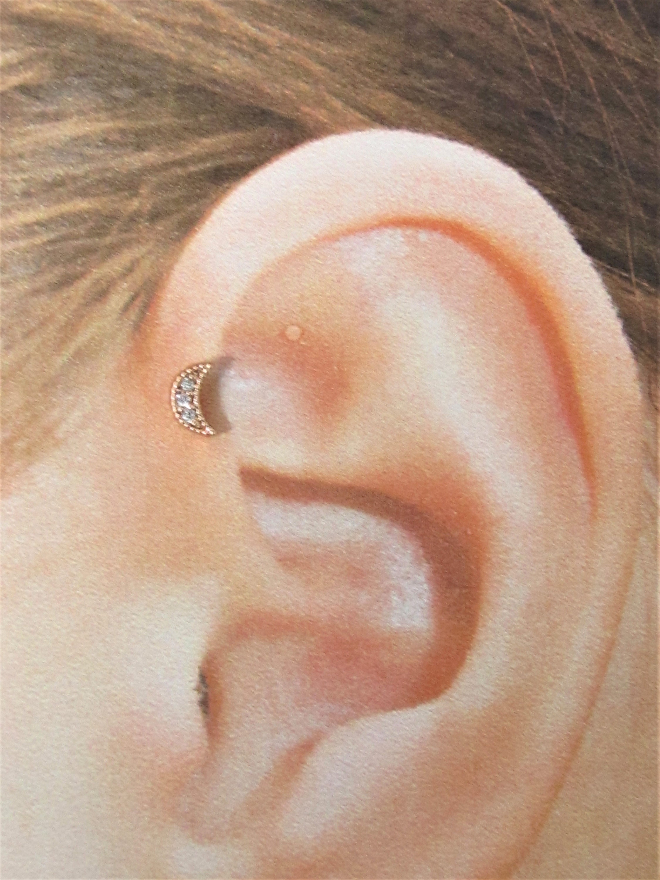 Rose Gold Moon Forward Helix 3 Cz Surgical Steel Labret.internally ...